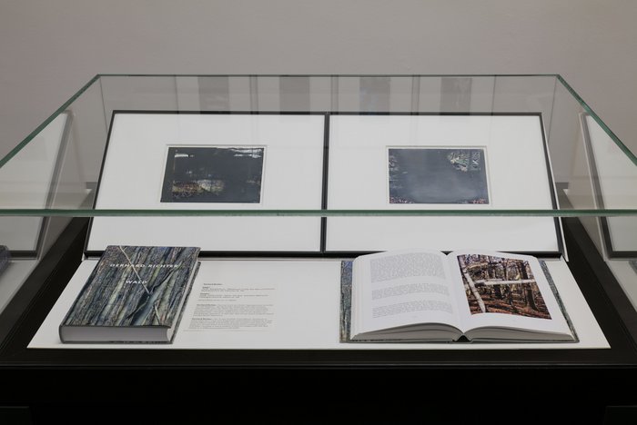 Gerhard Richter Archiv: Gerhard Richter. Overpainted Photographs